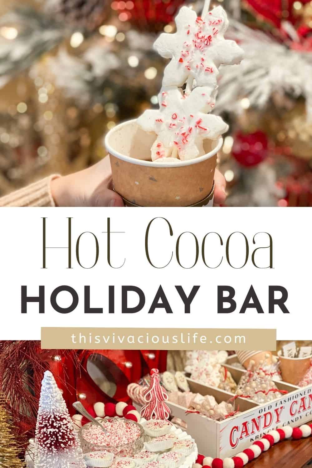 Hot Cocoa Bar (Festive & Fun!) - This Vivacious Life